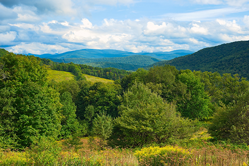 Coldwell Banker Timberland Properties