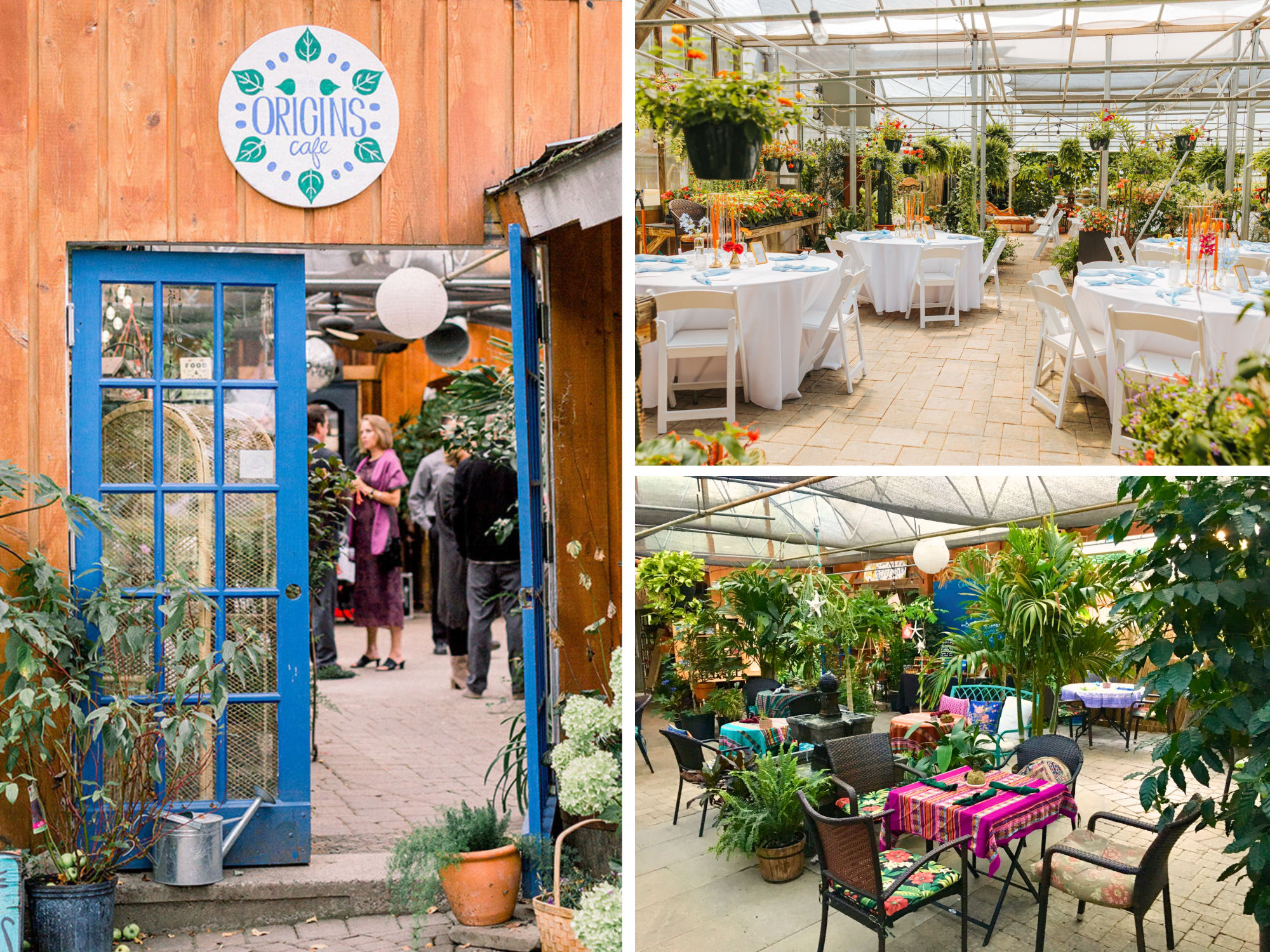 Origins Cafe: Locally Grown, Globally Inspired