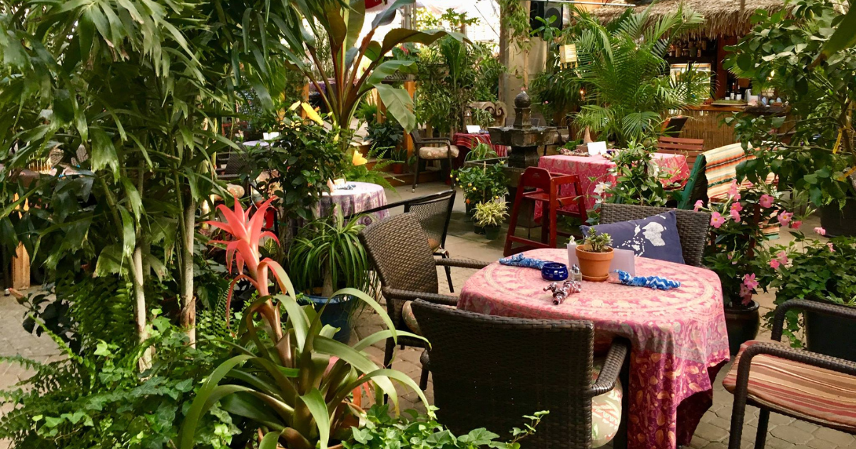 Origins Cafe: Locally Grown, Globally Inspired