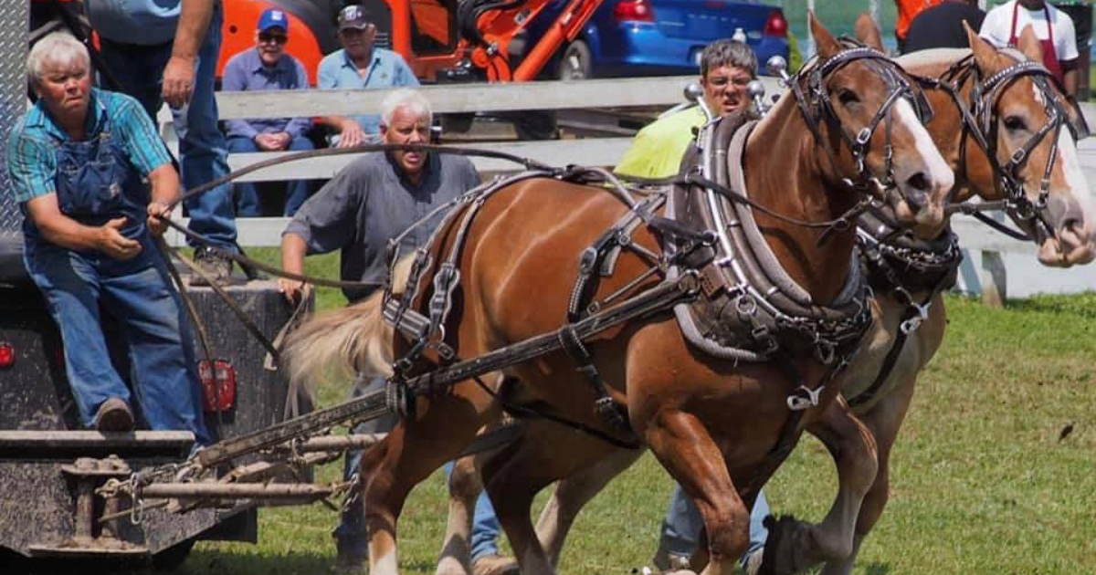 Late Summer Fairs & Festivals