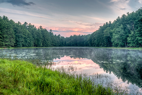 Coldwell Banker Timberland Properties