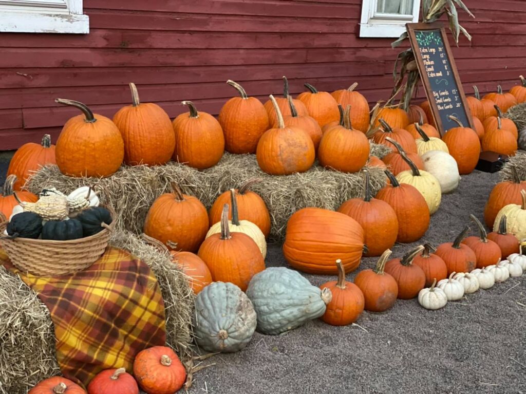 Introducing the NEW Andes Hotel!