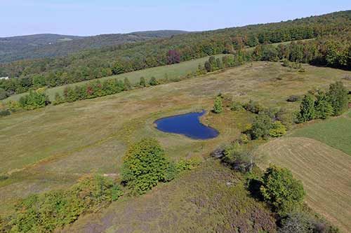 Coldwell Banker Timberland Properties